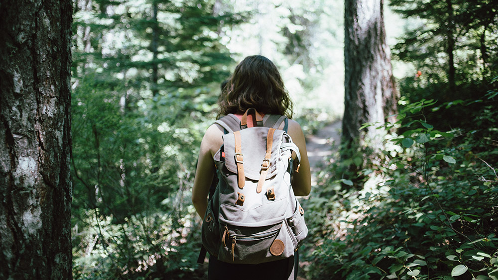 Whistler Interpretive Guided Nature Walk | Whistler Eco Tours